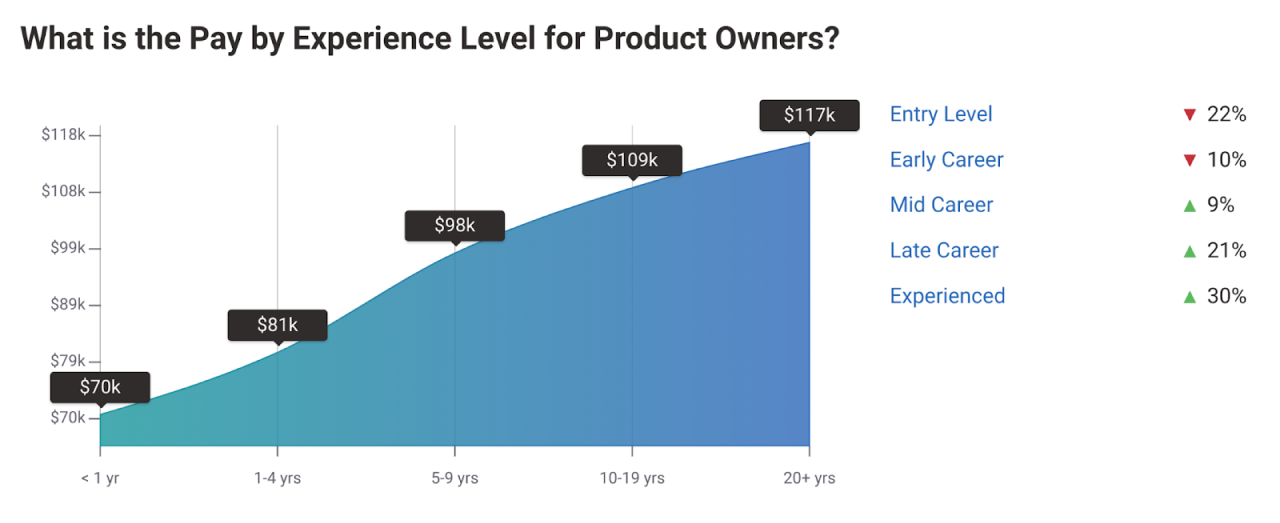 Product Owner: Career Path and Progression