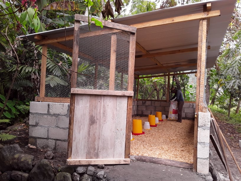 Community Chicken Coop