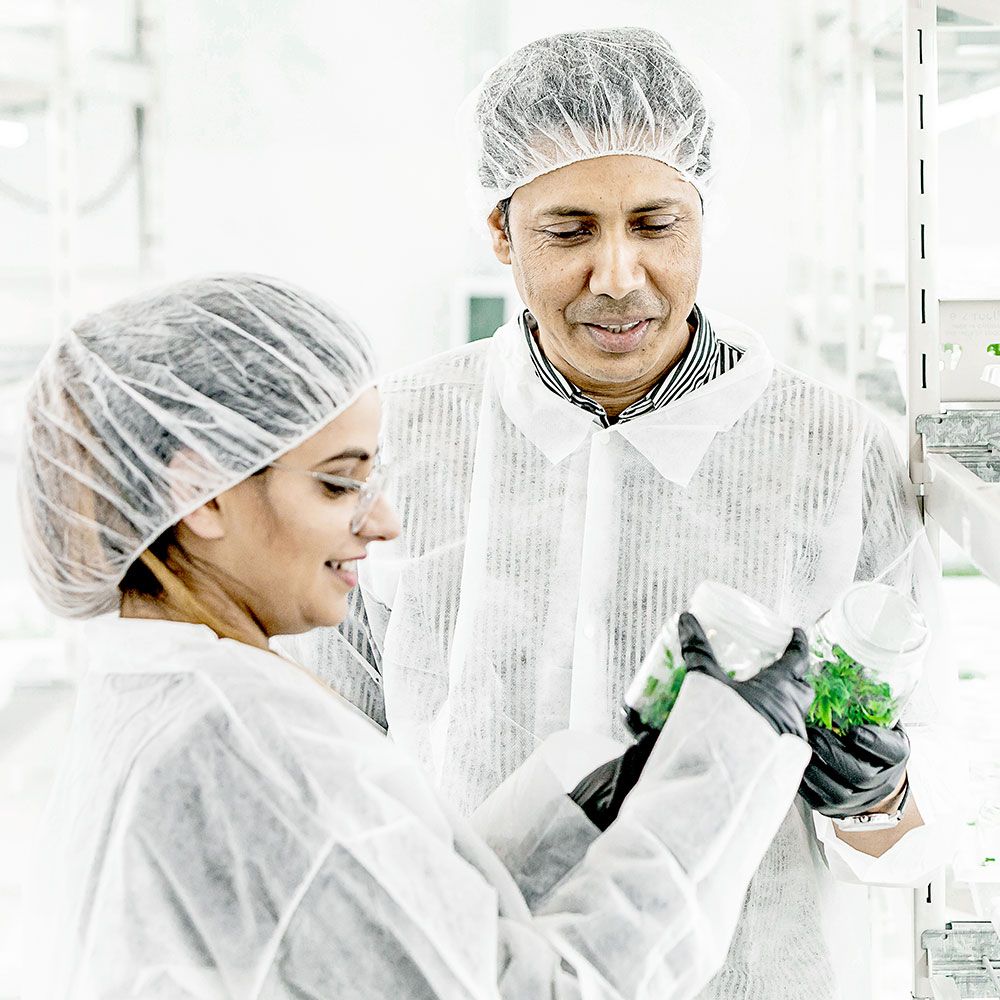 Home | Segra International