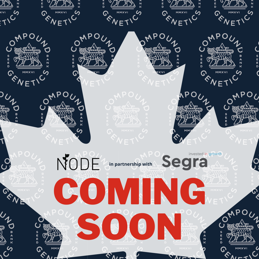 Latest News | Segra International