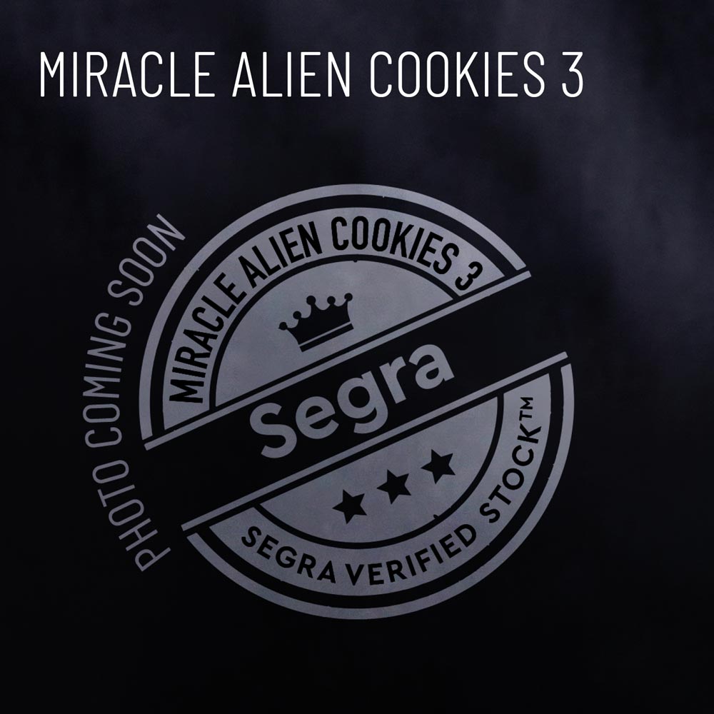 Miracle Alien Cookies 3 | Segra's Cultivar Catalogue