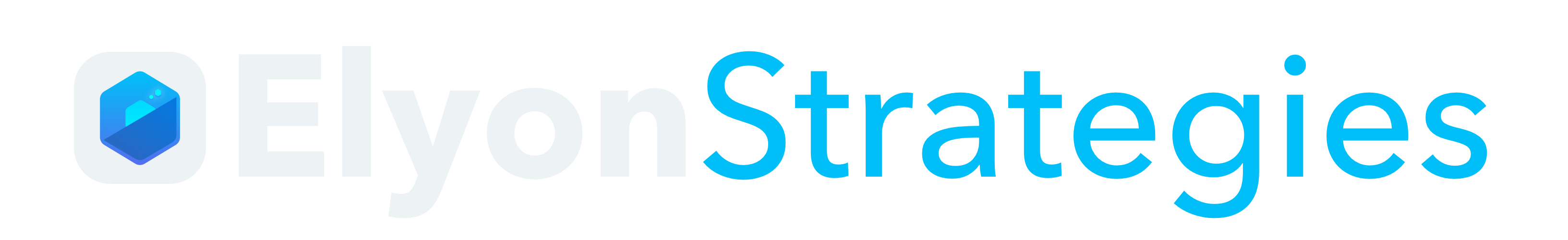 Elyon Strategies | Enterprise Business Design Services