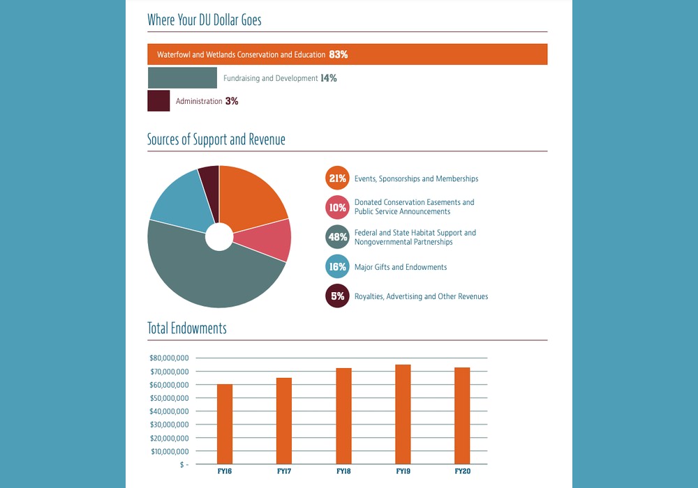9 Great Annual Report Examples (And Why They're Great) | Anedot
