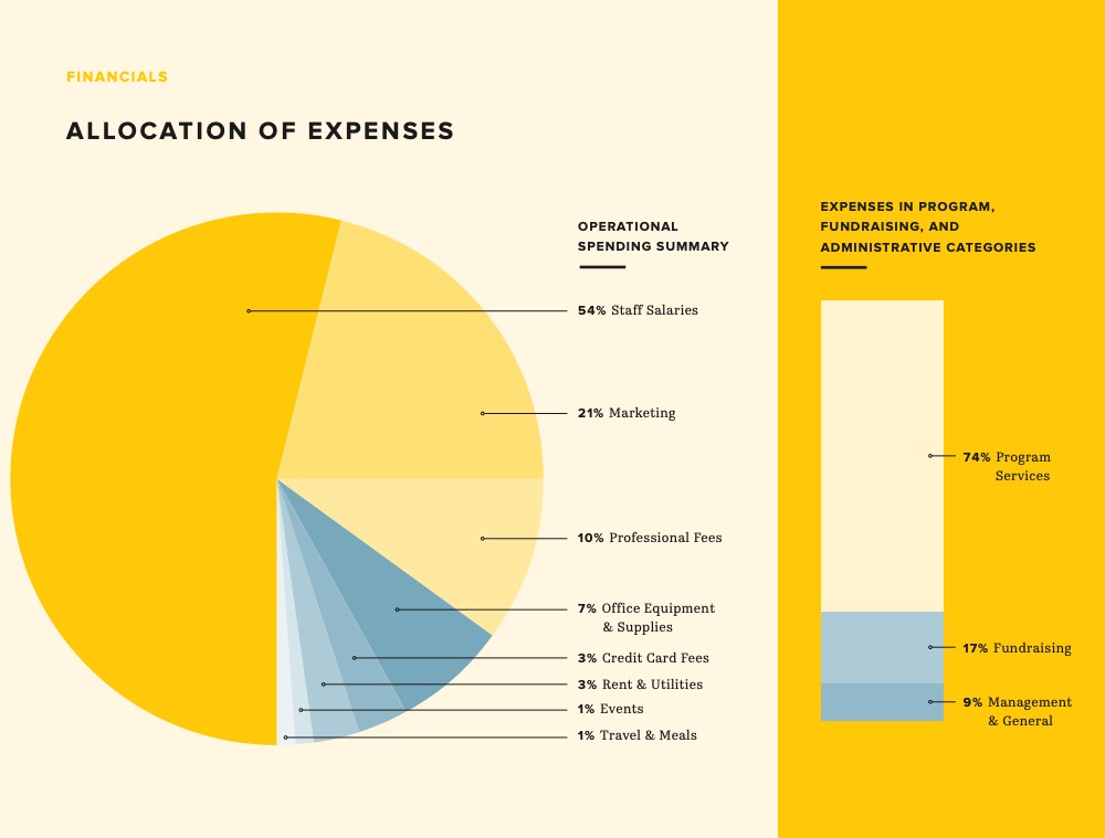 9 Great Annual Report Examples (And Why They're Great) | Anedot