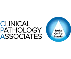 Contact Morphle Labs