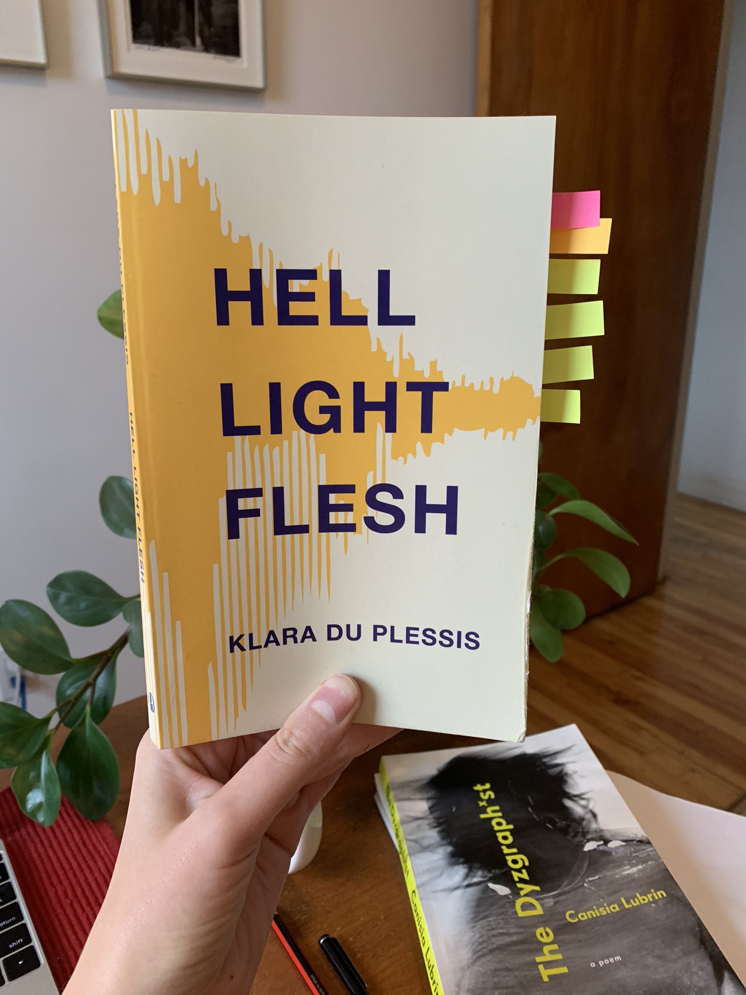 Seen Reading: Hell Light Flesh by Klara du Plessis