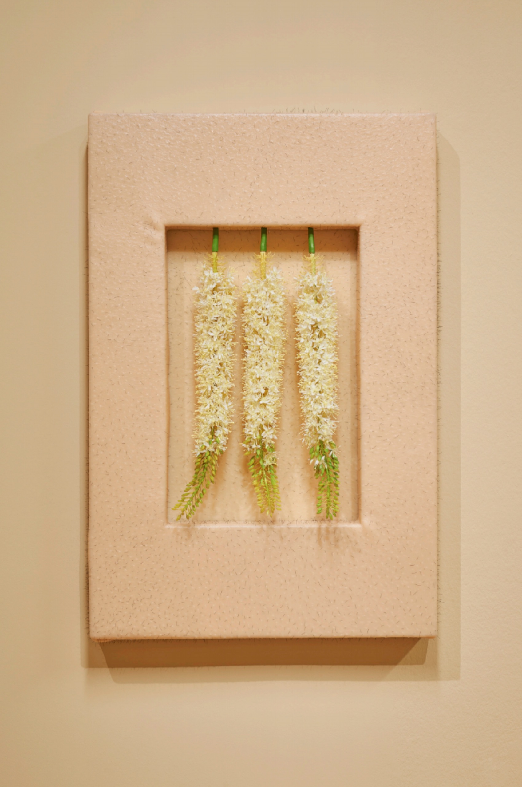 Living Content 22. Interview with Anicka Yi.