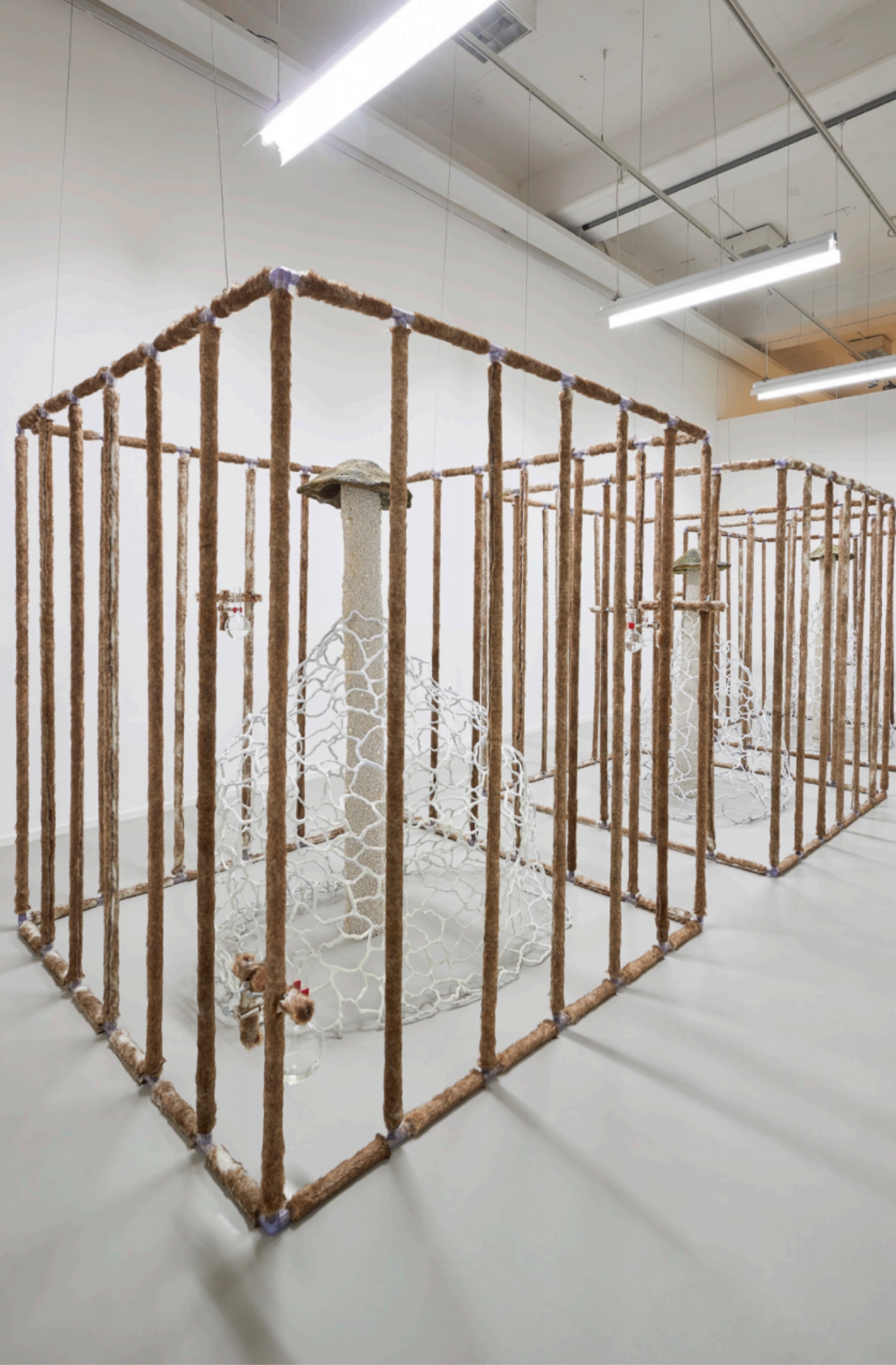 Living Content 22. Interview with Anicka Yi.