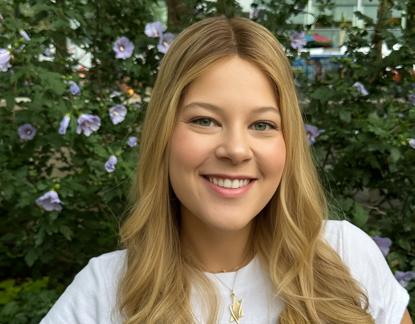 Evolve Fellows - meet them