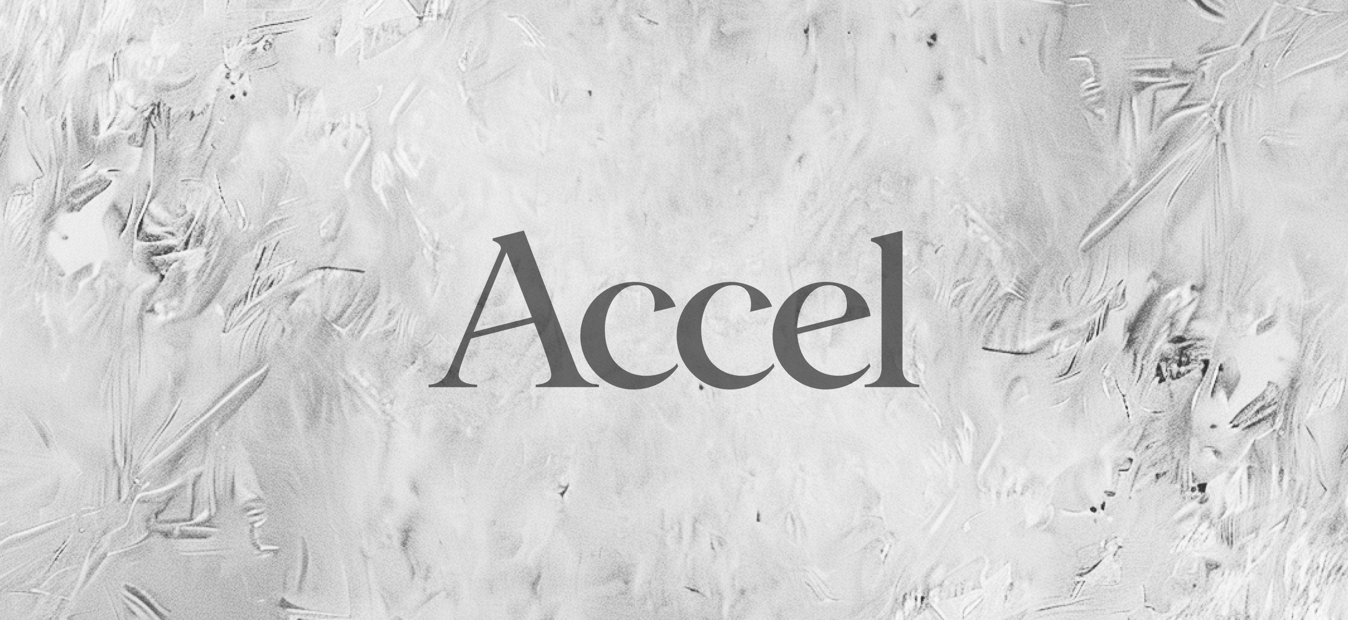 Accel - News