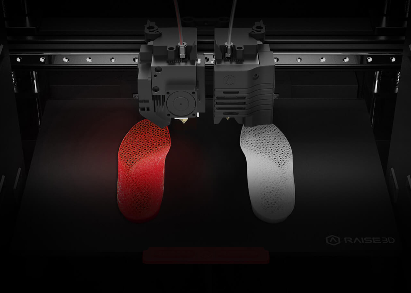 Raise3D | Raise3D E2 | MAPTEC