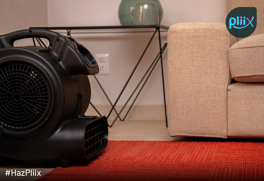 Pliix limpieza al máximo