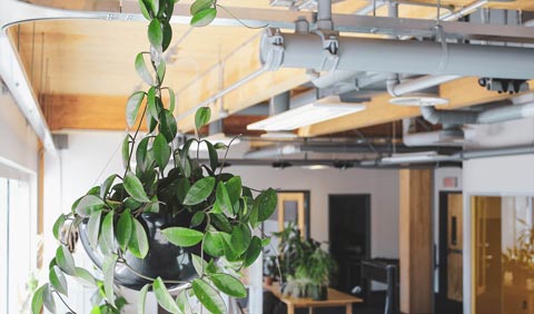 Indoor Air Quality Monitoring For Offices and Workplaces