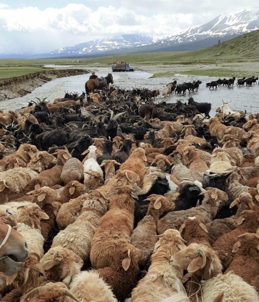 Mongolia | Blue Sky Escapes