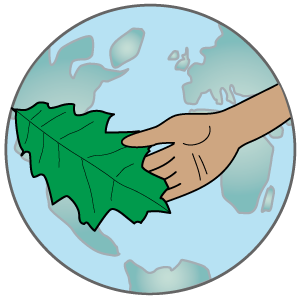 Partner With Nature - Connect with Trees & Nature