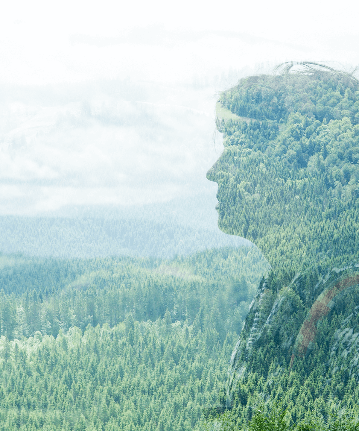 Partner With Nature - How to Communicate Directly with Nature