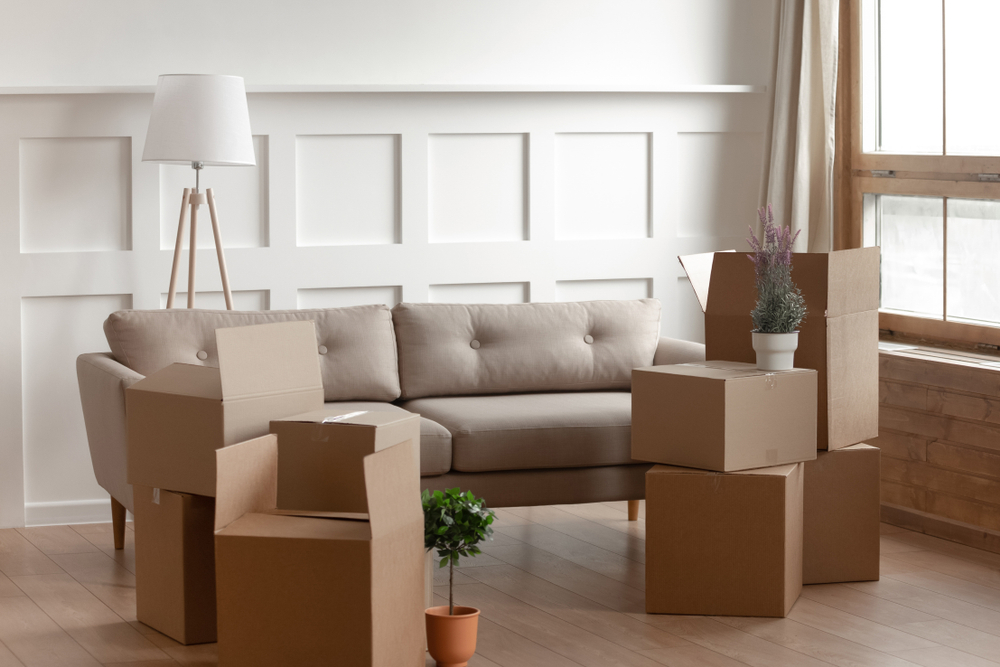 What are the Pros and Cons of Move-In Ready Homes?