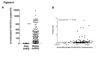 Story | Hadassah Researchers Develop Definitive Biomarker for Cardiac ...