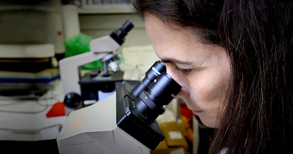 Story | Hadassah and Drug Giant Merck Launch mRNA Initiative to Fight ...