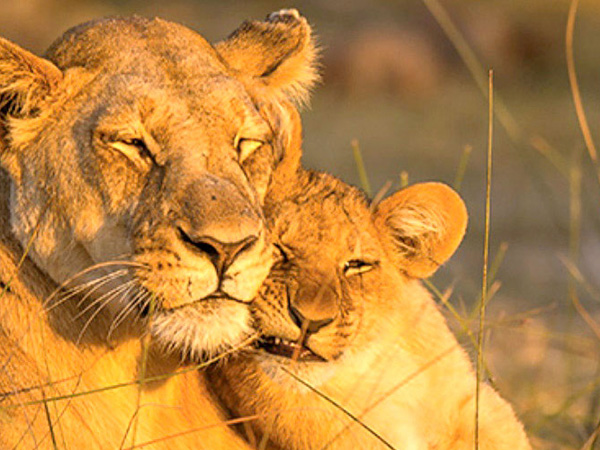 Gold Class | Gold Class Tours for Over 50s | Fun Over Fifty