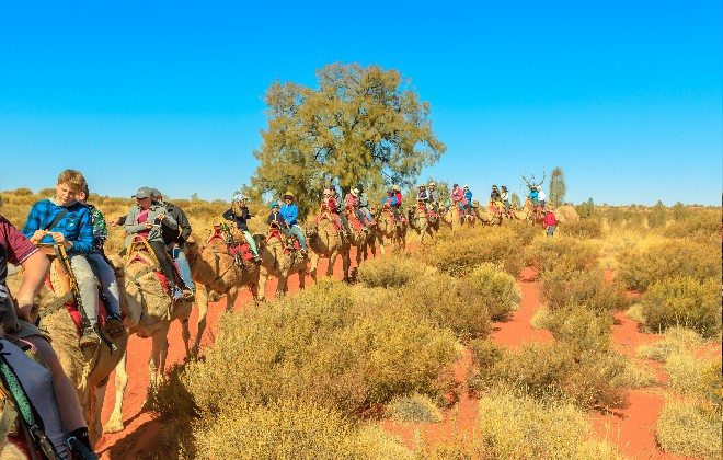 Uluru Camel Tours - All-Inclusive Northern Territory Desert Safari For ...