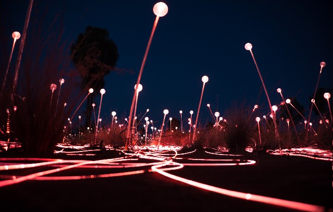 Field of Light - All-Inclusive Northern Territory Immersive Lights ...