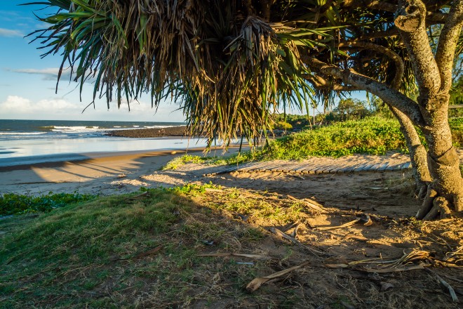 When to visit Bundaberg to see nesting turtles and their hatchlings