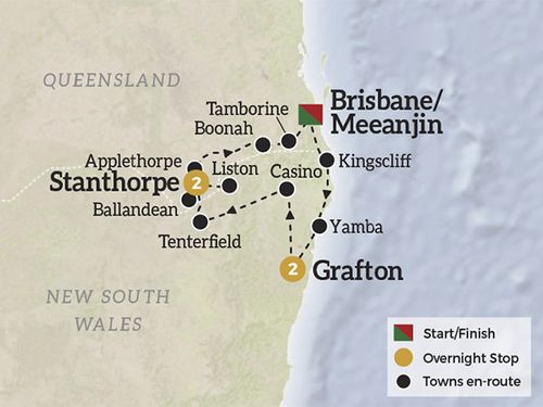 Jacaranda Festival in Grafton