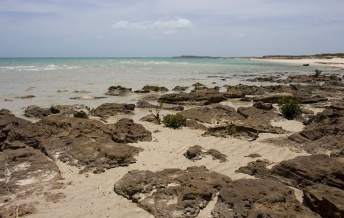 One Arm Point Hatchery All-Inclusive Tours - Western Australia Packages ...