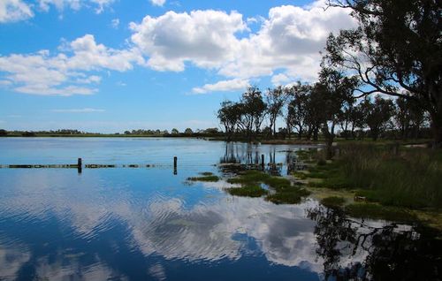 Tuart Forest National Park All-Inclusive Tours - Western Australia ...