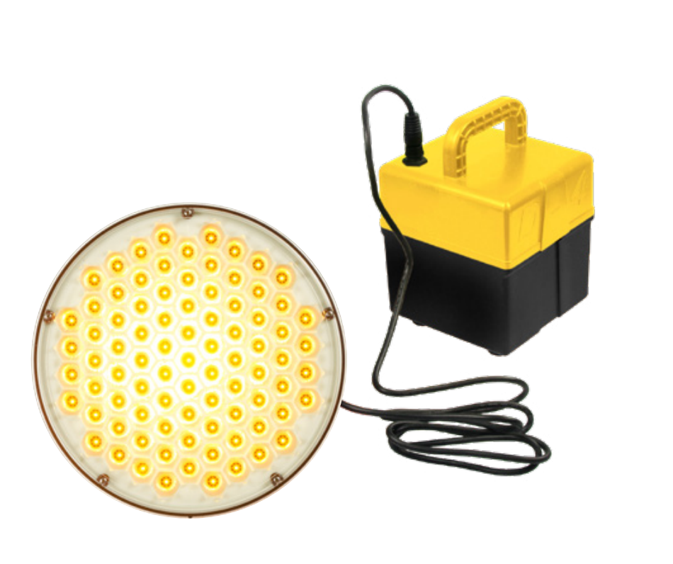 D4C-Basic 308 – D-Power