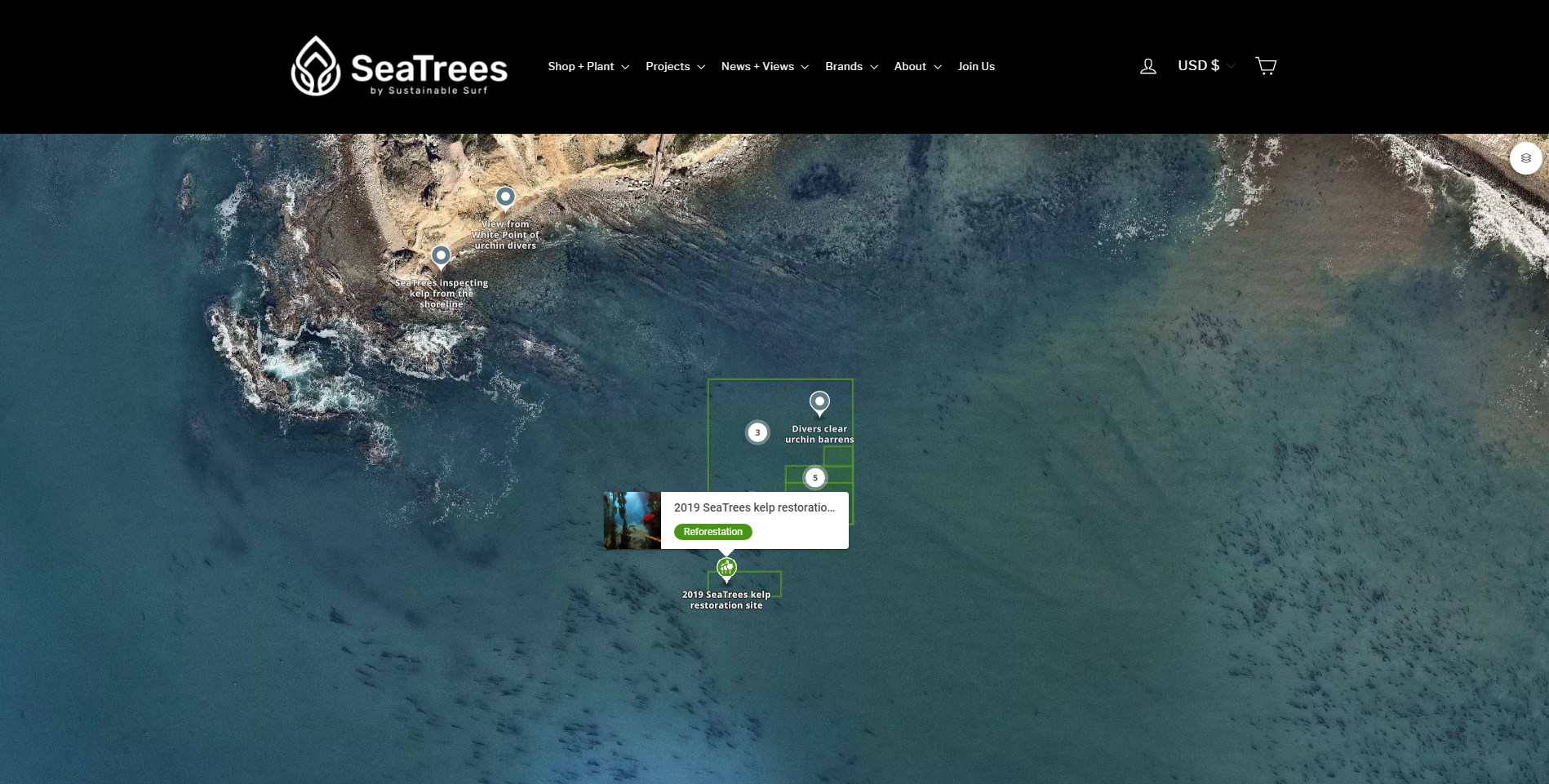 explorer.land: Regrowing confidence in forest restoration projects with ...