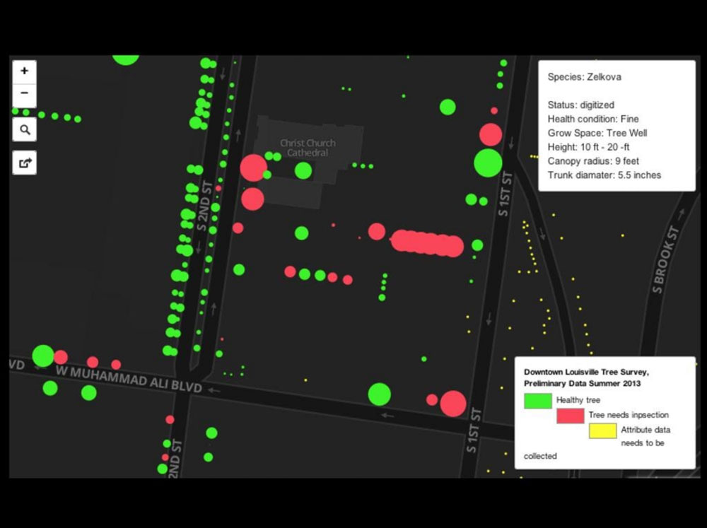 Tree Mapping Project