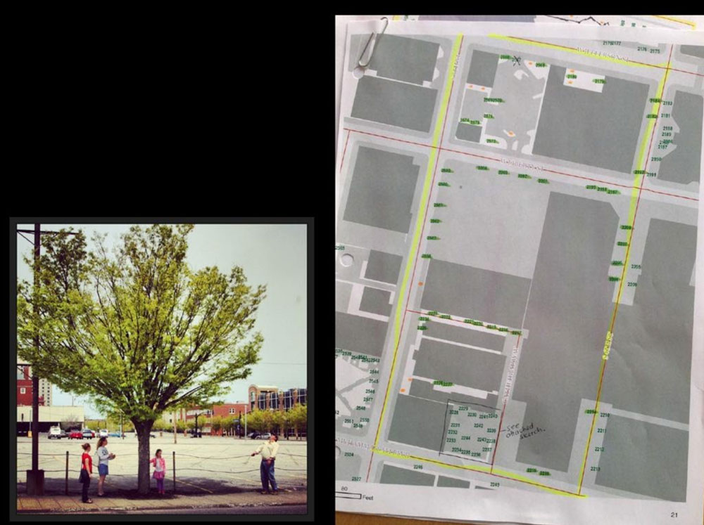 Tree Mapping Project