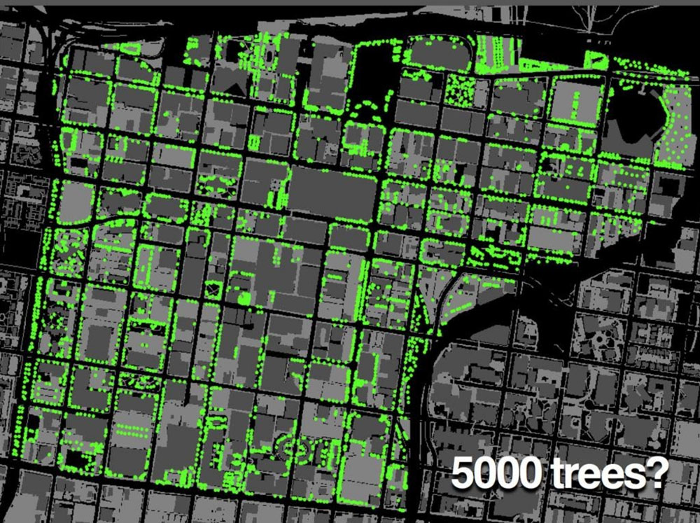 Tree Mapping Project