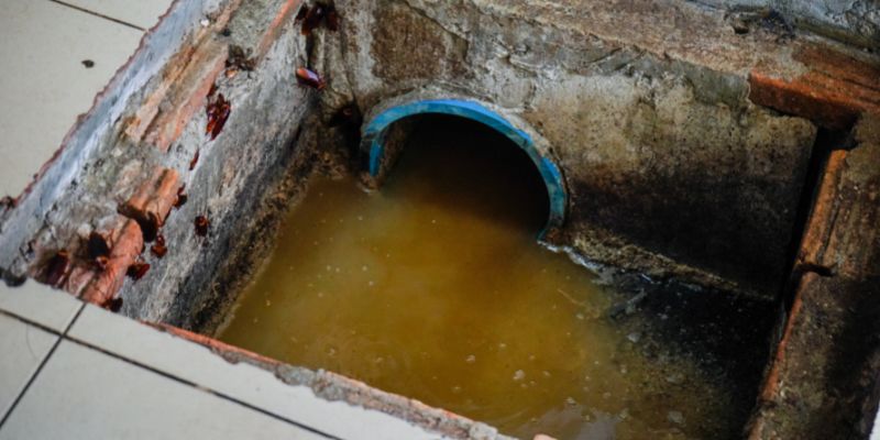 5 Signs You Need To Replace Your Grease Trap