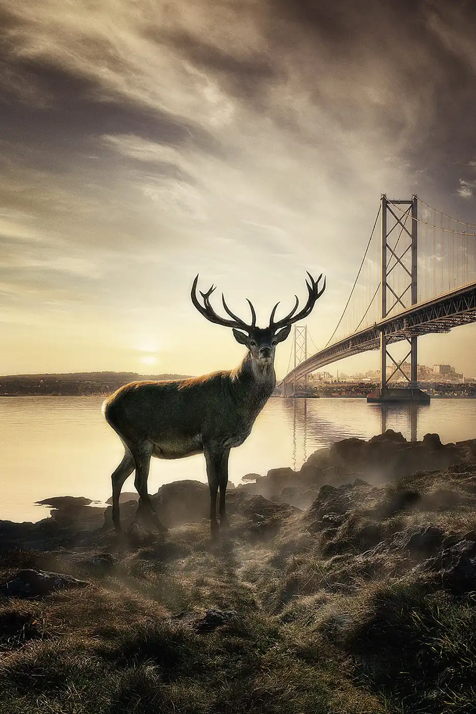 ARTITECT | Nature Is Everywhere by Dirk Karsten