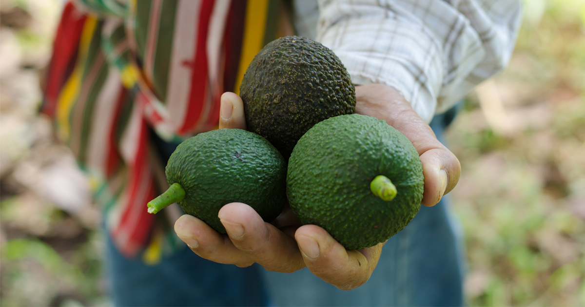 Apeel | How Apeel Works