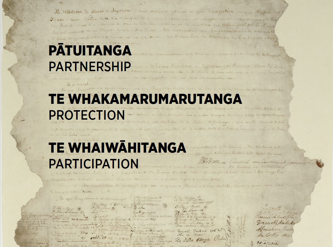 DIY Treaty of Waitangi