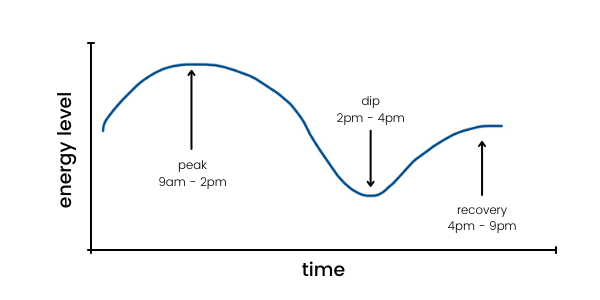 Optimize your day by understanding your chronotype
