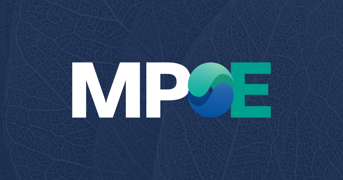 Brandmark & Identity : MP Environmental x Matt Blak