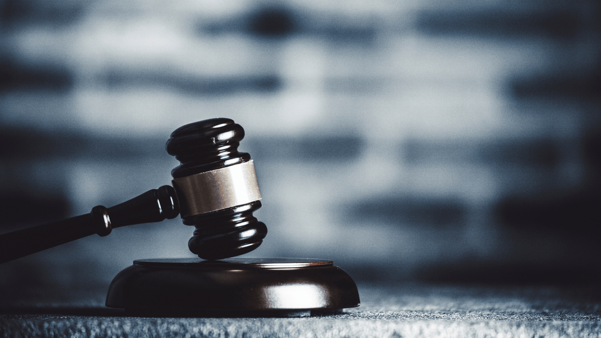 Contrax Blog | Everything You Need to Know Before Attending an Auction ...