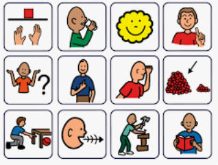 Some common low-tech augmentative and alternative communication (AAC ...