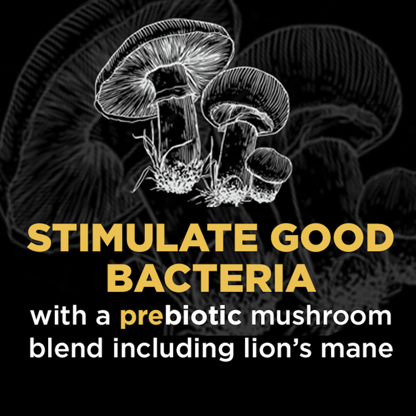 The Magical Mushrooms for Gut Health: A Comprehensive Guide