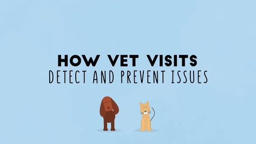 Veterinary Blog - Visit Our Patterson Veterinary Clinic