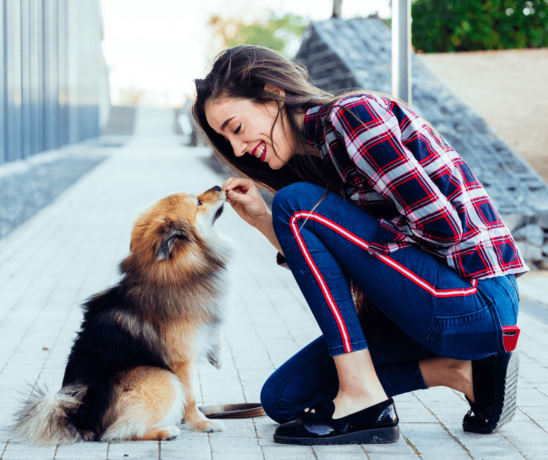 Veterinary Blog - Visit Our Patterson Veterinary Clinic