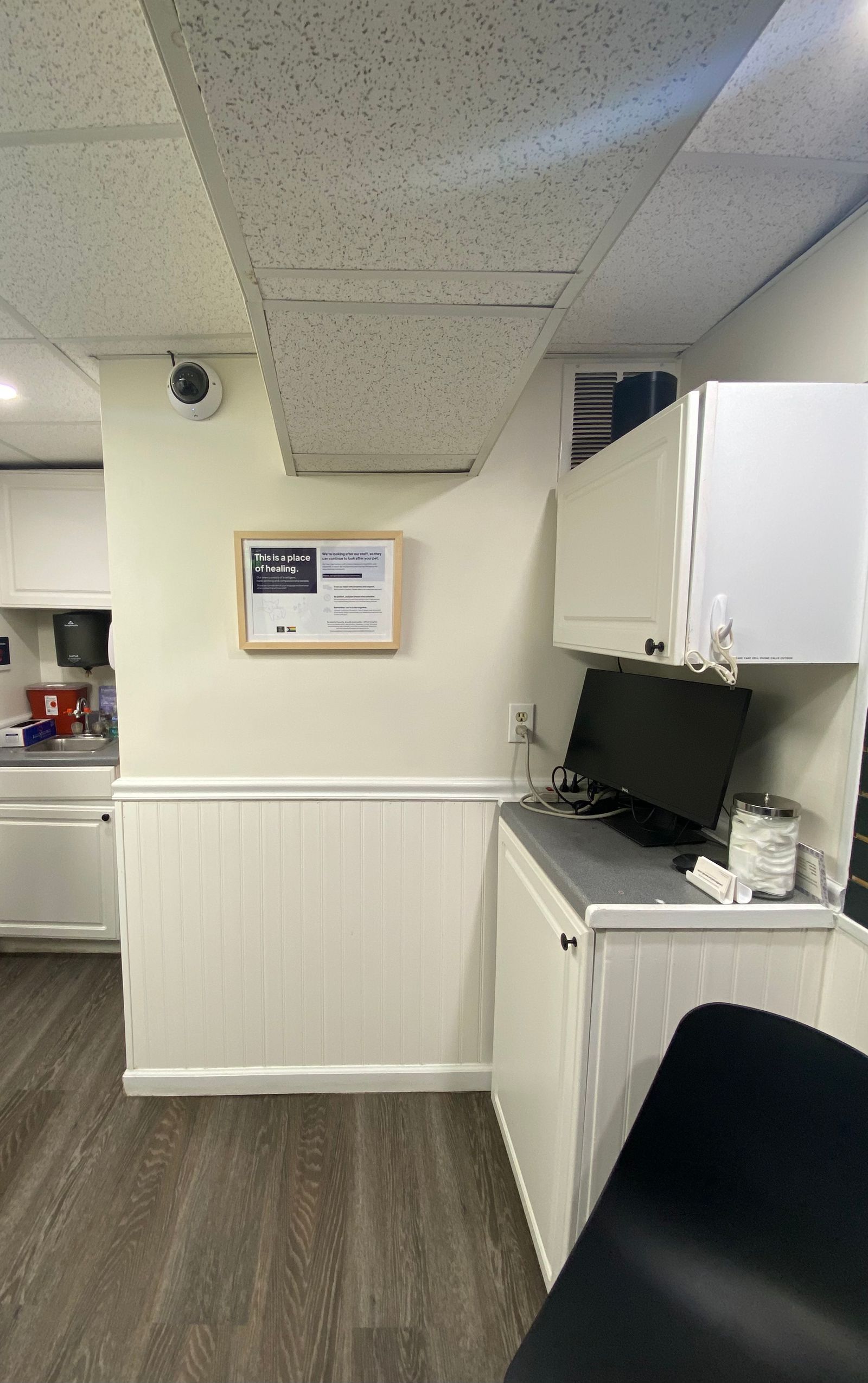 Veterinary Blog - Visit Our Patterson Veterinary Clinic