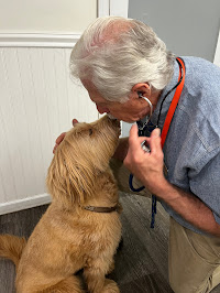 Veterinary Blog - Visit Our Patterson Veterinary Clinic