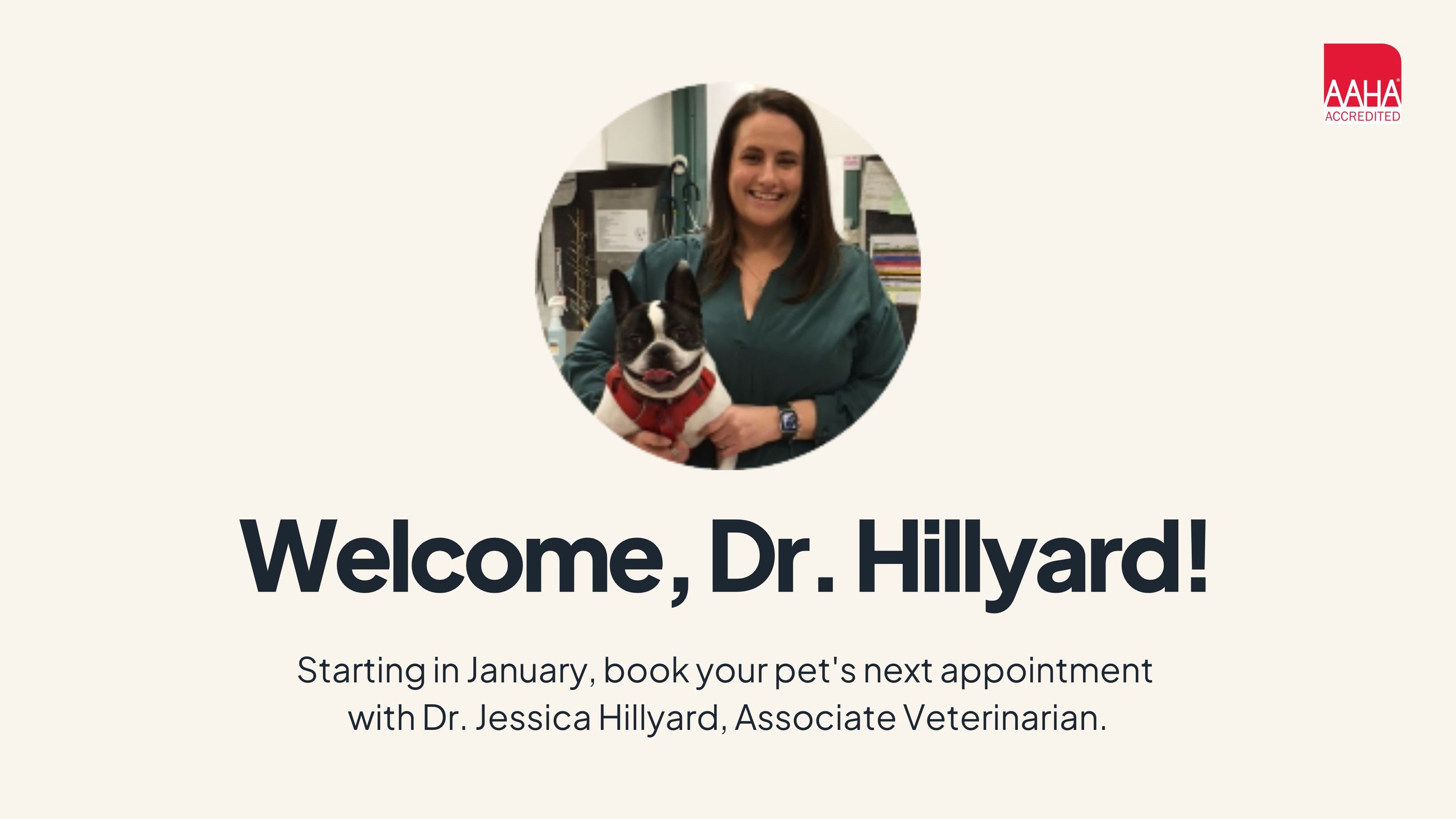 Veterinary Blog - Visit Our Patterson Veterinary Clinic