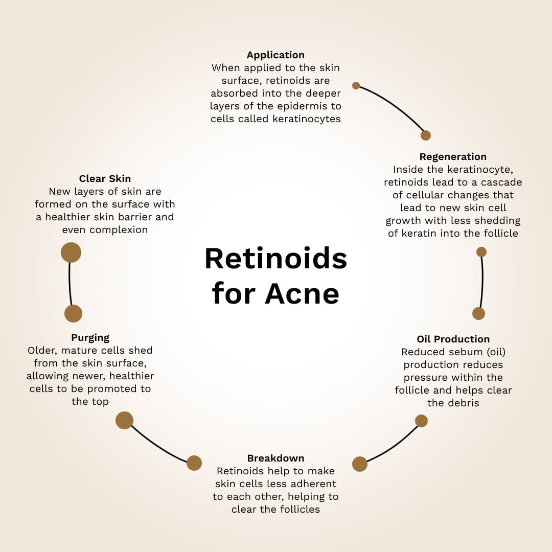 How Does Retinol Work In The Skin At Vaughn Josephs Blog How Does Retinol Work In The Skin At Vaughn Josephs Blog
